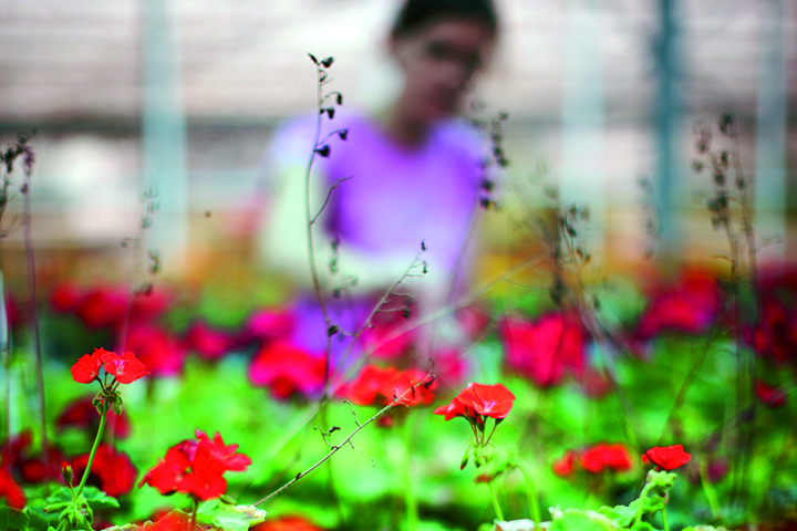 JET Client Resources